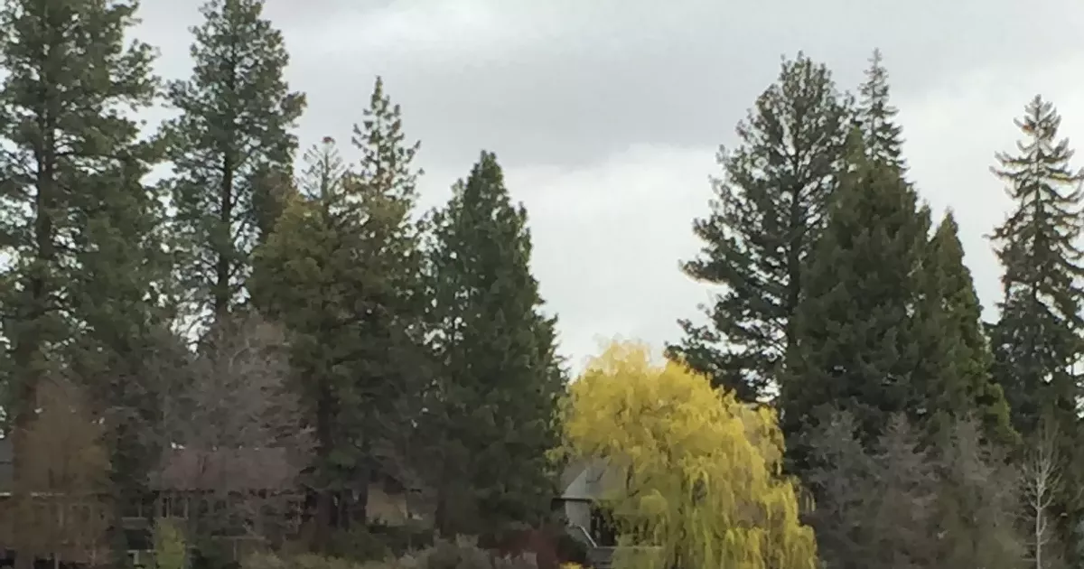 Plan for sun! Weather Update for 4/28-4/30 | The Source Weekly - Bend ...