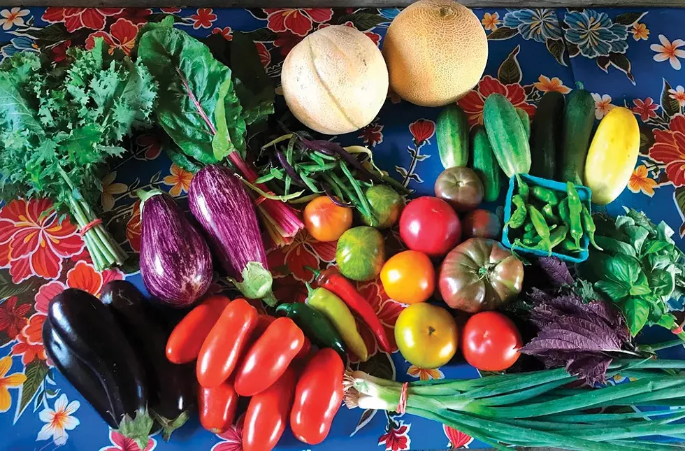 2021 Hudson Valley CSA Farms | Farms & CSA | Hudson Valley | Chronogram ...