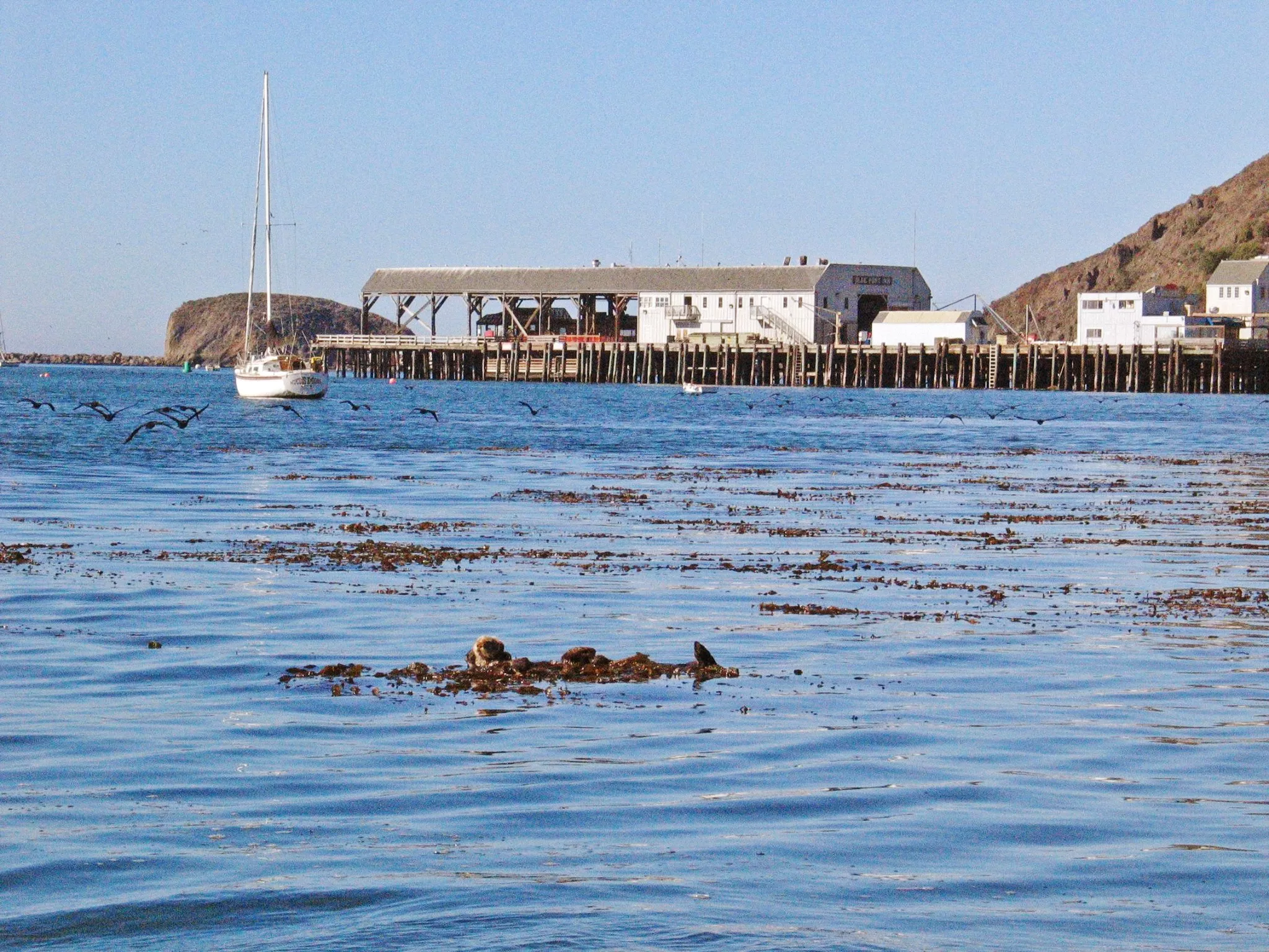 Port San Luis Harbor Commission to discuss transition to district ...