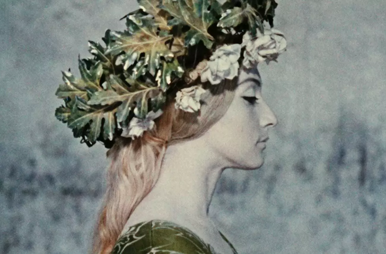 Second Run Portland: In Memoria, Tilda Swinton Has a Sonic Headache ...