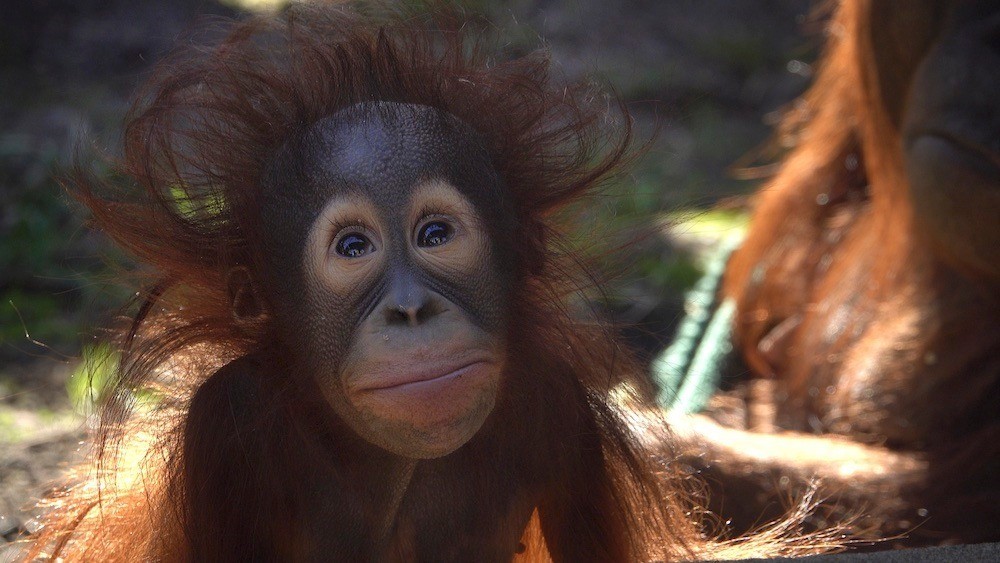 Good Morning, News: Local NAACP's Lack of Social Justice, Two Million ...