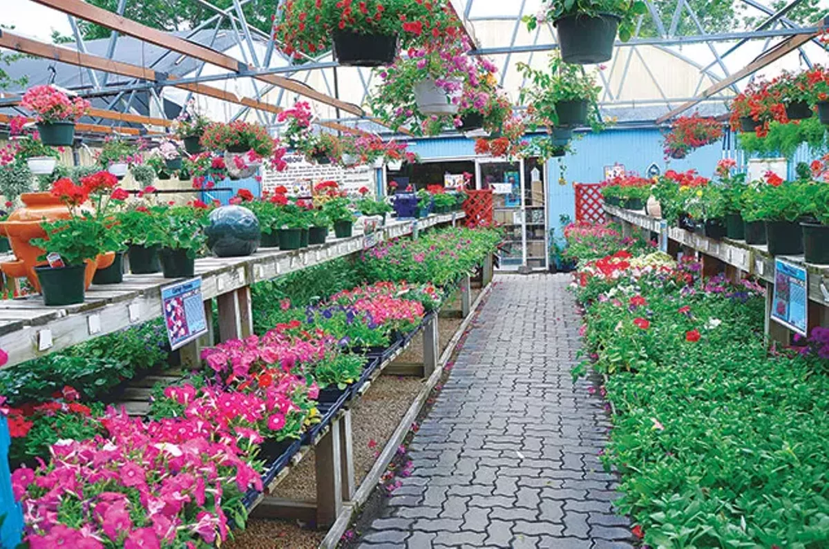 Best Plant Nursery 2013 Winners San Antonio Best Plant Nursery 2013 Winners San Antonio