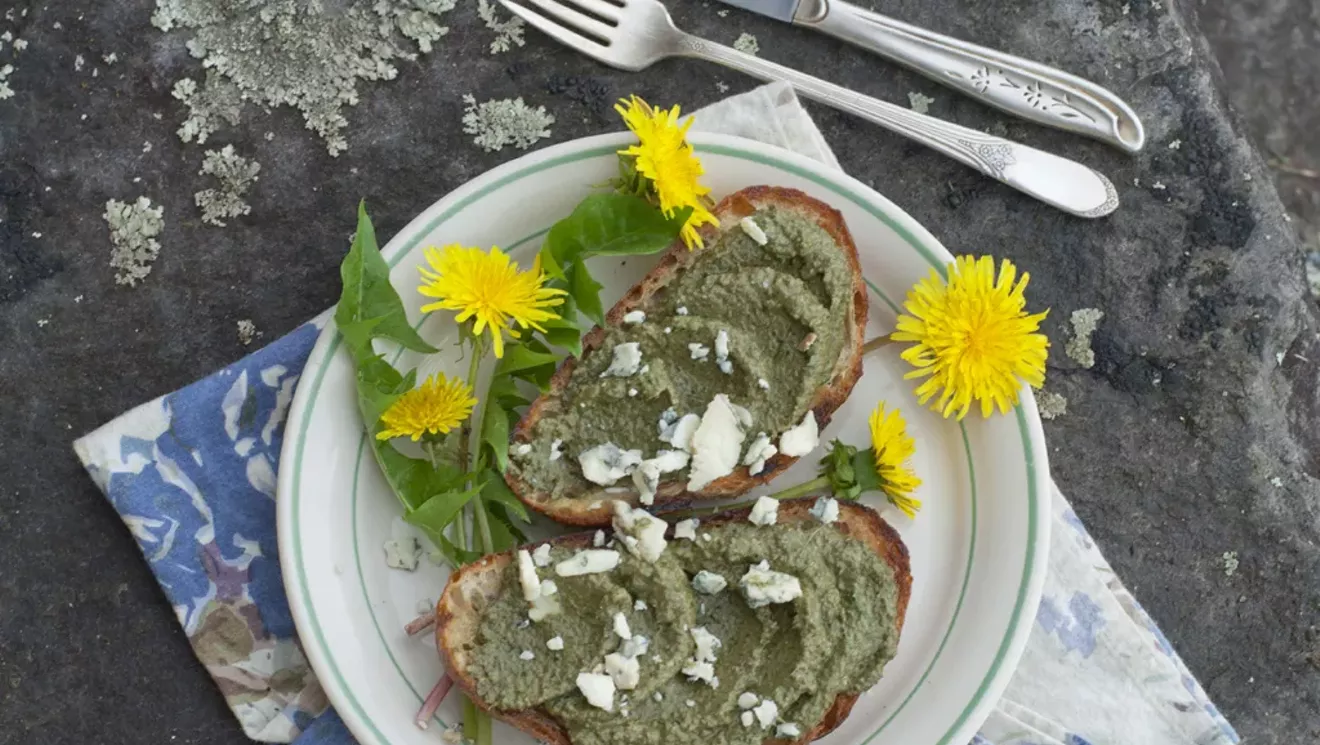 Farmers Market Kitchen: Dandelion Pesto | Bite Club