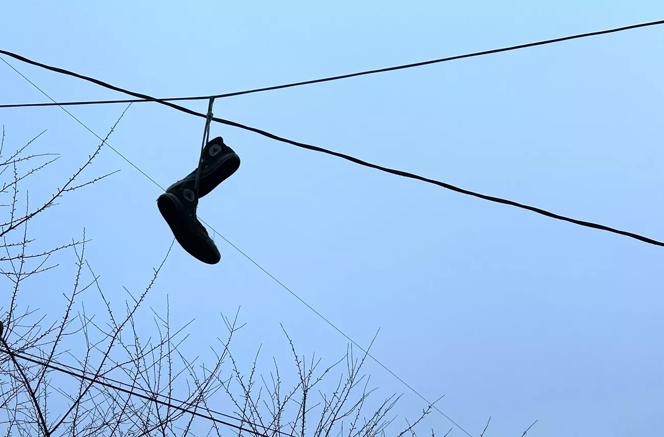 Slog AM: Pete Hegseth Kills Them All, Starbucks Pays $38.9 Million ...