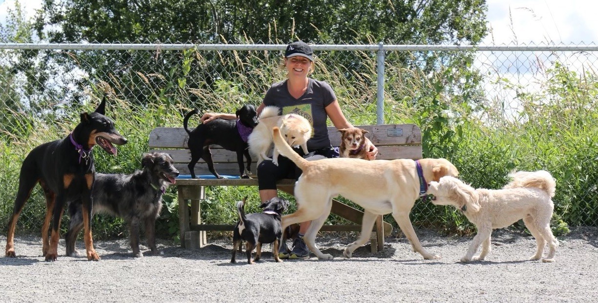 Slog AM: Biden Backs Israel Against Iran in Potential Regional War, 20 ...