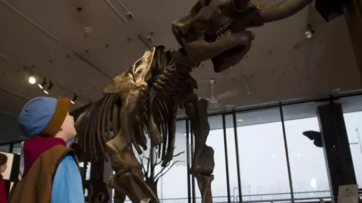 Best Museum 2012 | Nova Scotia Museum of Natural History | Public Life