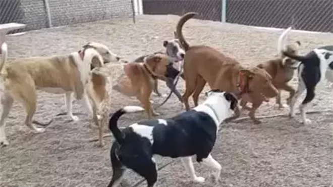 Pima Animal Care Center
